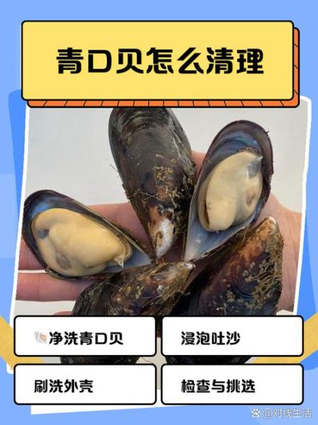 青口贝怎么清洗_青口贝清洗技巧-第1张图片-山城妙识