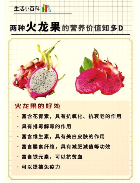 火龙果的营养价值_火龙果的功效与作用-第1张图片-山城妙识