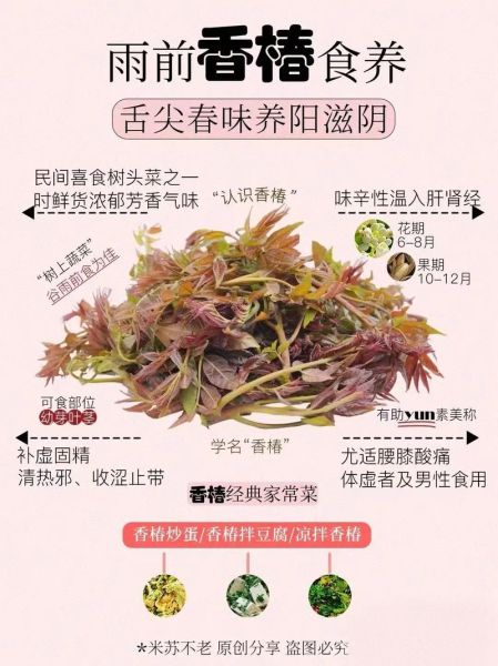 春芽拌豆腐的功效_怎么做最好吃-第1张图片-山城妙识