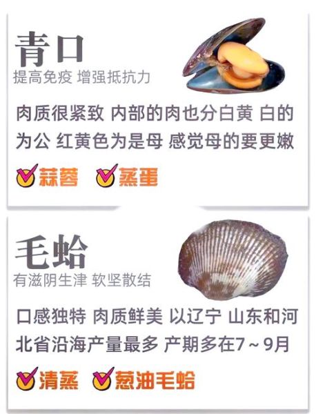 贝类海鲜固碳原理_贝类固碳能力排名-第3张图片-山城妙识 贝类海鲜固碳原理_贝类固碳能力排名-第3张图片-山城妙识