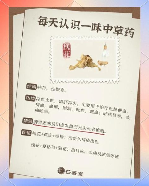 槐花散方歌功效与用法_槐花散止血原理是什么-第1张图片-山城妙识 槐花散方歌功效与用法_槐花散止血原理是什么-第1张图片-山城妙识