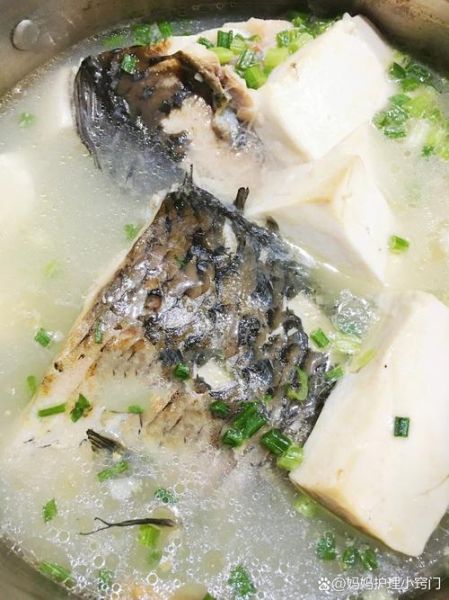 孕妇喝什么鱼汤好_孕期鱼汤怎么选-第2张图片-山城妙识