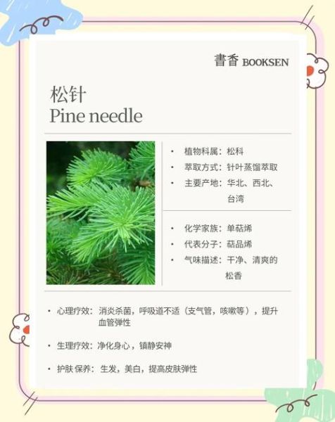 松针的功效与作用_松针怎么吃-第3张图片-山城妙识 松针的功效与作用_松针怎么吃-第3张图片-山城妙识