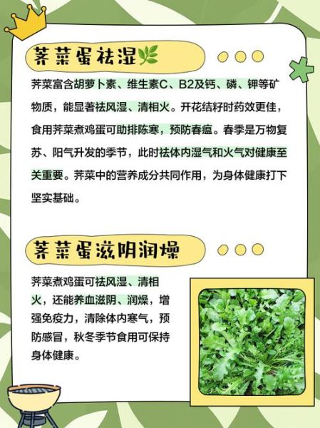 荠菜煮鸡蛋怎么做_荠菜煮鸡蛋的功效-第1张图片-山城妙识