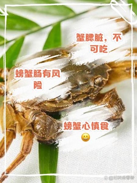 螃蟹哪些部位不能吃_螃蟹不能吃的部位图解精图-第3张图片-山城妙识