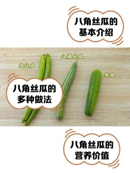 八角丝瓜怎么做好吃_家常做法步骤详解-第1张图片-山城妙识