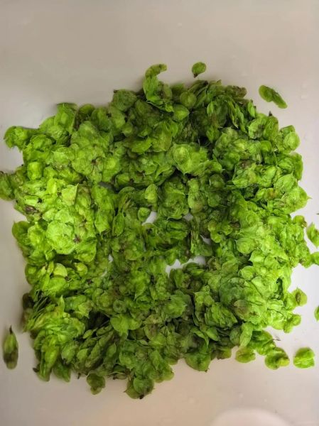 榆钱窝窝怎么做才好吃_榆钱窝窝的做法窍门-第3张图片-山城妙识