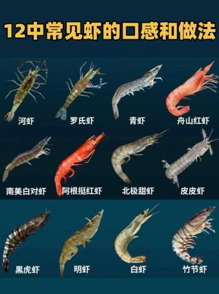 海虾种类大全名称_常见海虾品种有哪些-第1张图片-山城妙识