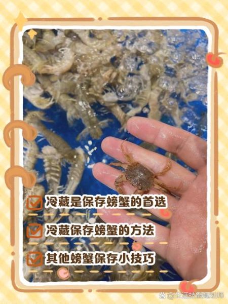 活螃蟹杀了能保存多久_杀好的螃蟹冷藏还是冷冻-第3张图片-山城妙识