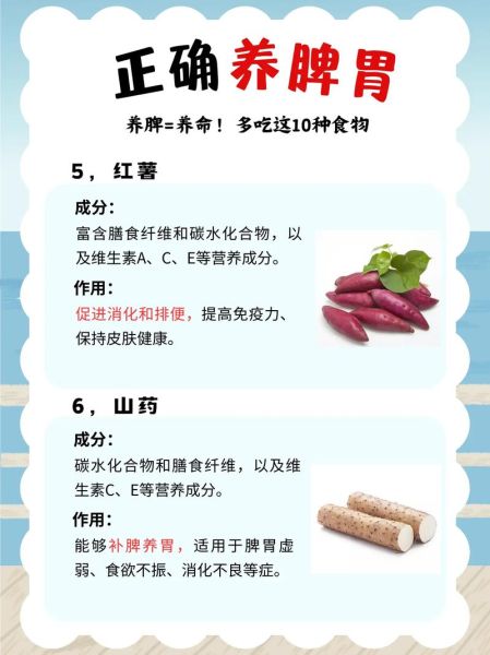 脾虚吃什么食物补最好_脾虚怎么调理最快-第1张图片-山城妙识