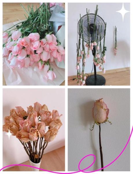 玫瑰花怎么做成干花_玫瑰花做干花最简单的方法-第2张图片-山城妙识