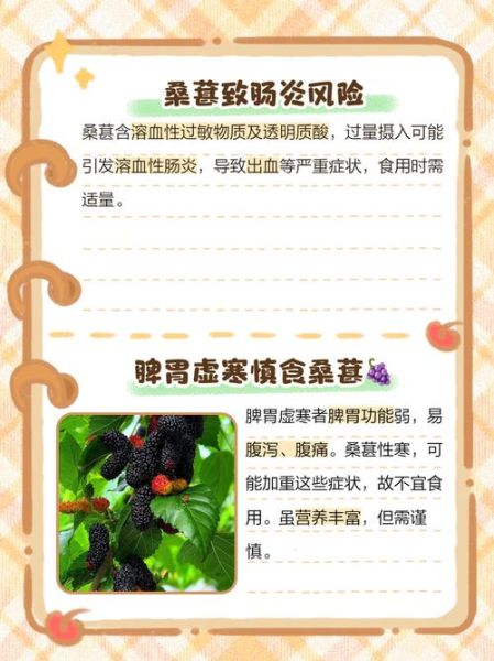 桑葚的副作用有哪些_桑葚吃多了有什么危害-第1张图片-山城妙识