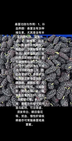 桑葚的副作用有哪些_桑葚吃多了有什么危害-第3张图片-山城妙识