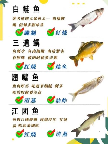 淡水鱼养殖技术_如何提高成活率-第2张图片-山城妙识