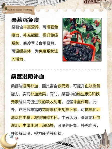 桑葚的副作用有哪些_桑葚吃多了有什么危害-第2张图片-山城妙识