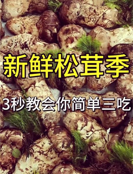 松茸怎么吃_松茸食用禁忌有哪些-第1张图片-山城妙识