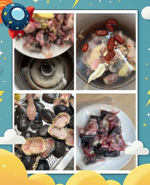 清炖乌龟汤的做法大全_乌龟汤怎么炖不腥-第2张图片-山城妙识 清炖乌龟汤的做法大全_乌龟汤怎么炖不腥-第2张图片-山城妙识