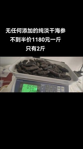 海参价格多少钱一斤_海参价格受哪些因素影响-第2张图片-山城妙识 海参价格多少钱一斤_海参价格受哪些因素影响-第2张图片-山城妙识