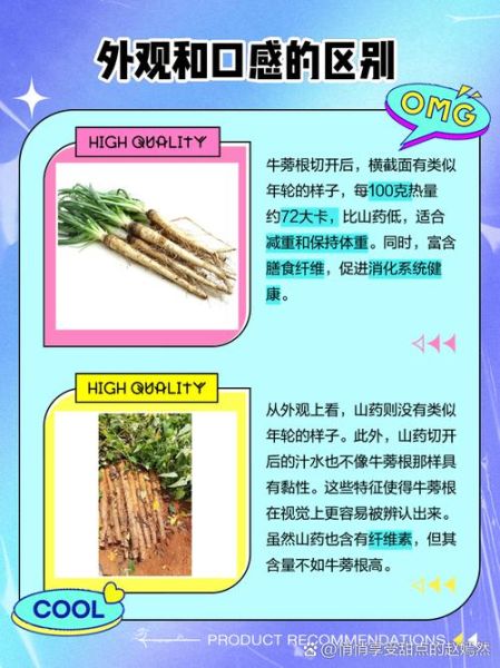 牛蒡是山药吗_牛蒡和山药的区别-第1张图片-山城妙识 牛蒡是山药吗_牛蒡和山药的区别-第1张图片-山城妙识