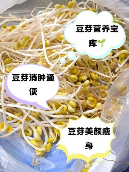 豆芽热量是多少_减肥能吃豆芽吗-第3张图片-山城妙识