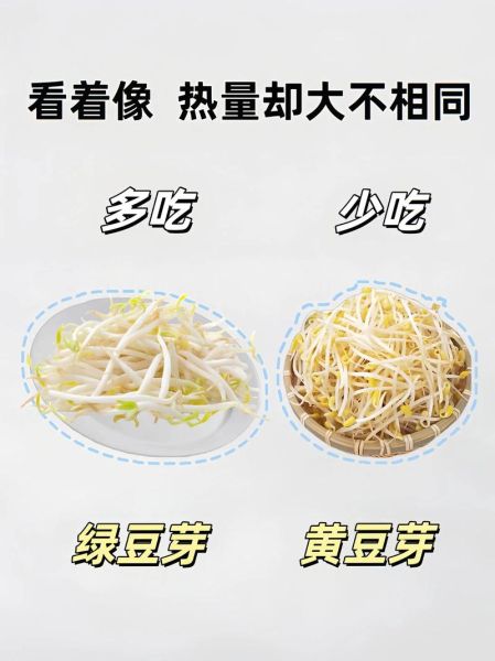 豆芽热量是多少_减肥能吃豆芽吗-第2张图片-山城妙识