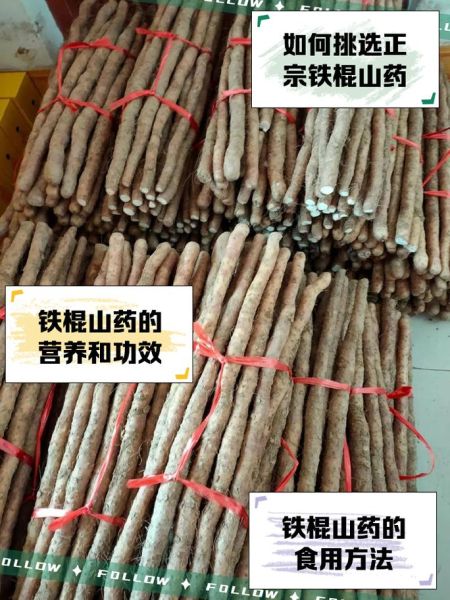 铁棍山药图片大全_如何挑选正宗铁棍山药-第2张图片-山城妙识 铁棍山药图片大全_如何挑选正宗铁棍山药-第2张图片-山城妙识