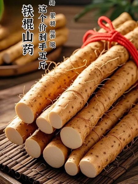 铁棍山药图片大全_如何挑选正宗铁棍山药-第1张图片-山城妙识 铁棍山药图片大全_如何挑选正宗铁棍山药-第1张图片-山城妙识