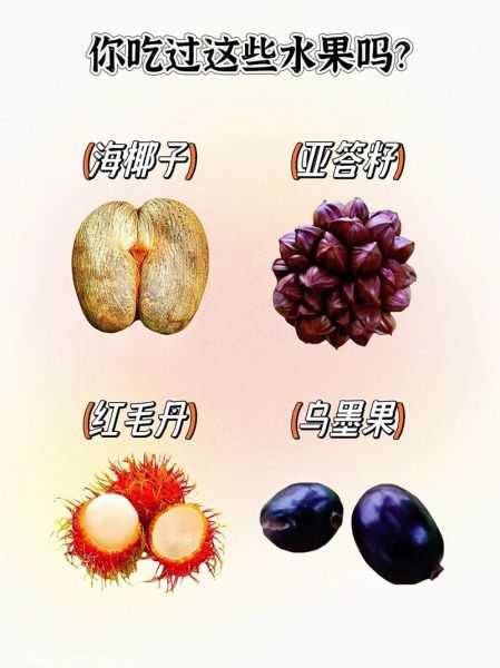 十大稀有水果有哪些_它们为什么珍贵-第2张图片-山城妙识 十大稀有水果有哪些_它们为什么珍贵-第2张图片-山城妙识