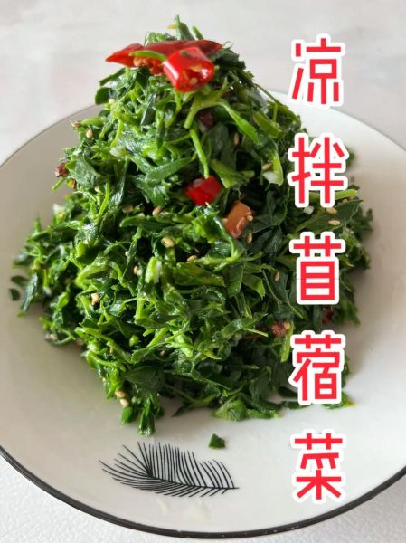 苜蓿菜怎么做好吃_苜蓿菜做法大全-第1张图片-山城妙识