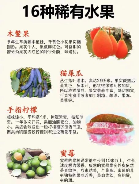 十大稀有水果有哪些_它们为什么珍贵-第1张图片-山城妙识 十大稀有水果有哪些_它们为什么珍贵-第1张图片-山城妙识