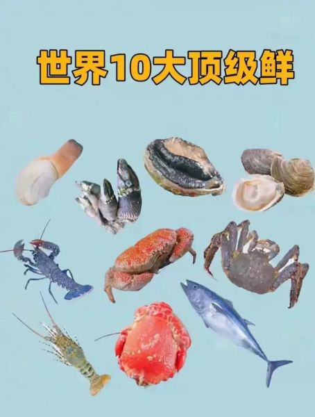 十大名贵海鲜有哪些_如何挑选正宗顶级货-第1张图片-山城妙识