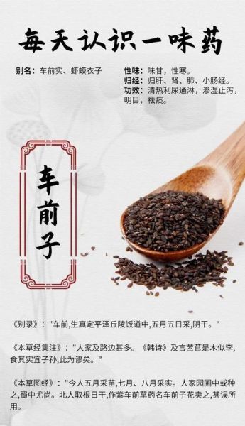 车前子功效与副作用_车前子怎么吃才安全-第2张图片-山城妙识 车前子功效与副作用_车前子怎么吃才安全-第2张图片-山城妙识