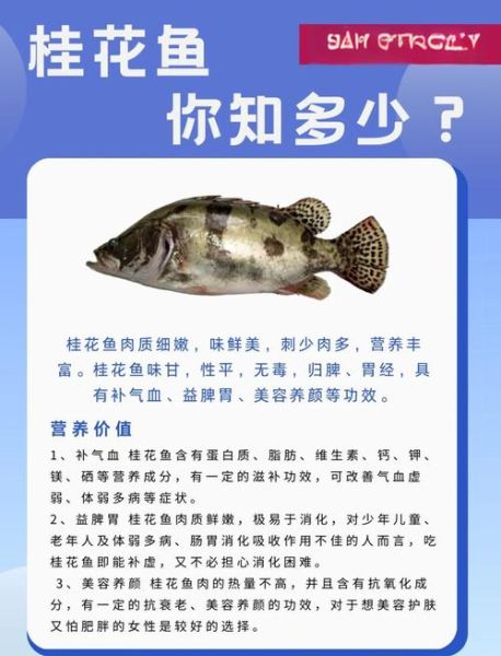 桂鱼和什么鱼混养最好_混养注意事项-第2张图片-山城妙识 桂鱼和什么鱼混养最好_混养注意事项-第2张图片-山城妙识