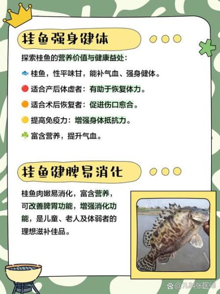 桂鱼和什么鱼混养最好_混养注意事项-第3张图片-山城妙识 桂鱼和什么鱼混养最好_混养注意事项-第3张图片-山城妙识