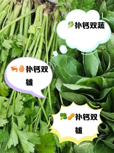 哪些蔬菜最补钙_吃什么蔬菜补钙最快-第3张图片-山城妙识 哪些蔬菜最补钙_吃什么蔬菜补钙最快-第3张图片-山城妙识