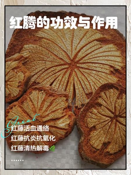 红藤的功效与作用有哪些_红藤主治什么病-第1张图片-山城妙识