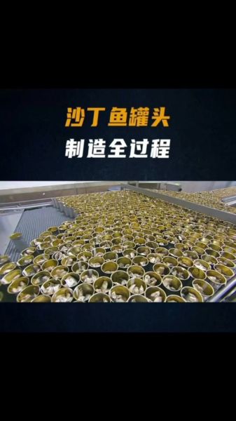 沙丁鱼罐头怎么做_家常做法详细步骤-第2张图片-山城妙识