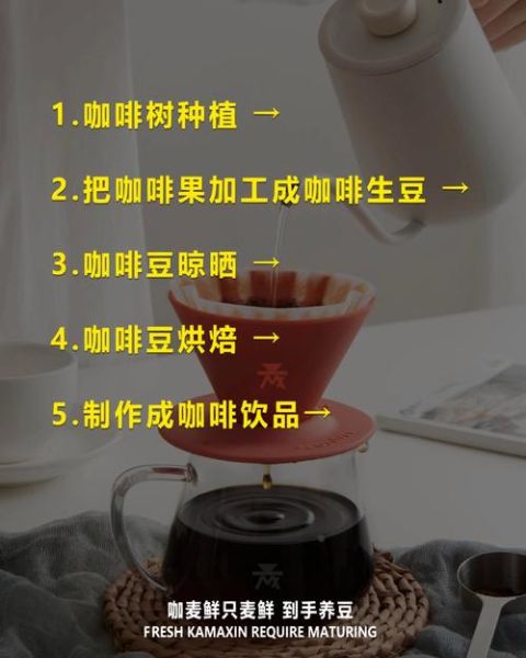 咖啡豆种植条件_咖啡豆种植方法-第2张图片-山城妙识