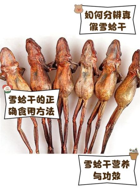 雪蛤早上吃还是晚上吃_最佳食用时间-第1张图片-山城妙识