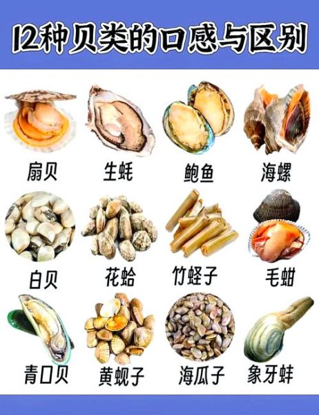 贝类海鲜怎么清洗_清蒸贝类海鲜做法-第2张图片-山城妙识 贝类海鲜怎么清洗_清蒸贝类海鲜做法-第2张图片-山城妙识