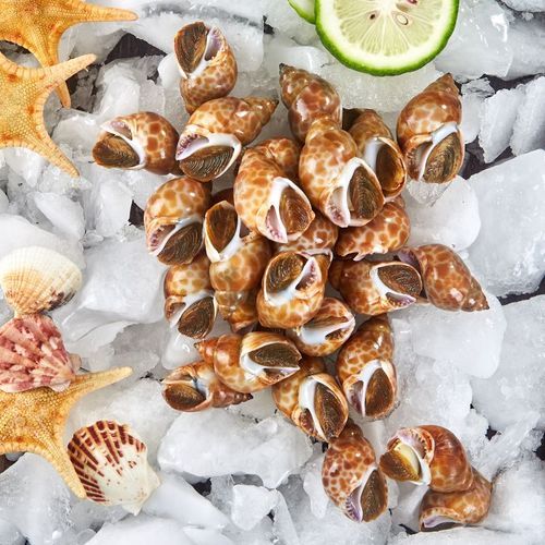 贝类海鲜怎么清洗_清蒸贝类海鲜做法-第3张图片-山城妙识 贝类海鲜怎么清洗_清蒸贝类海鲜做法-第3张图片-山城妙识