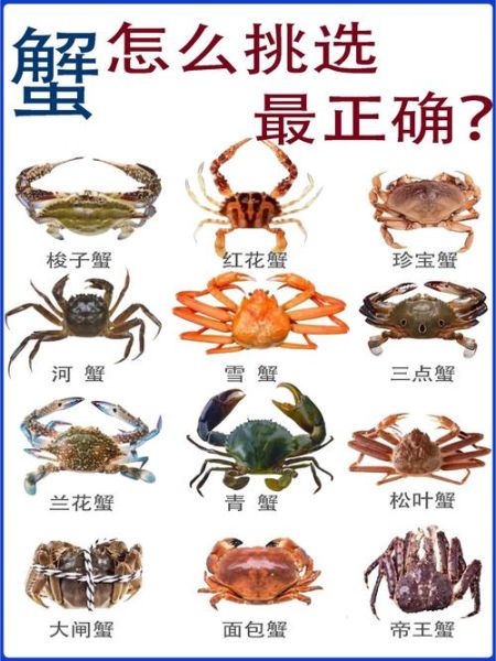 螃蟹大全大图种类_常见品种怎么区分-第3张图片-山城妙识