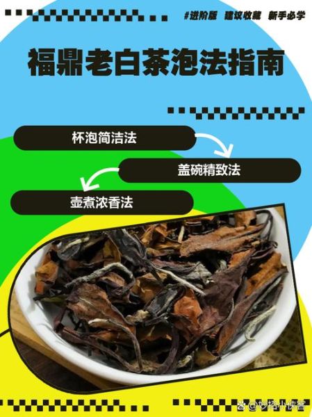 福鼎白茶怎么泡_福鼎白茶冲泡水温多少度-第1张图片-山城妙识