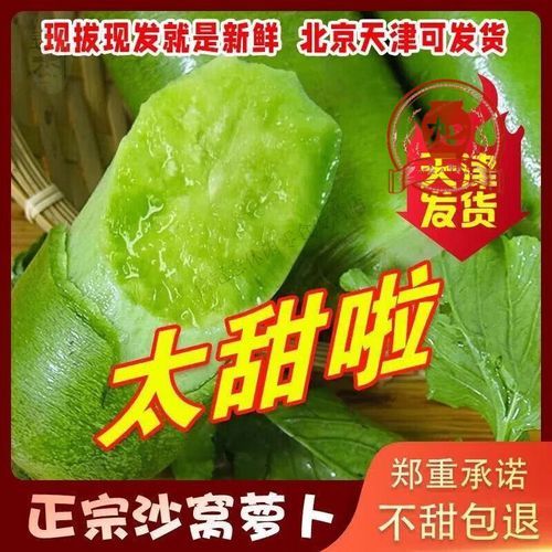 沙窝萝卜怎么挑选_沙窝萝卜价格多少钱一斤-第2张图片-山城妙识