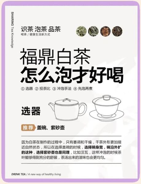 福鼎白茶怎么泡_福鼎白茶冲泡水温多少度-第3张图片-山城妙识