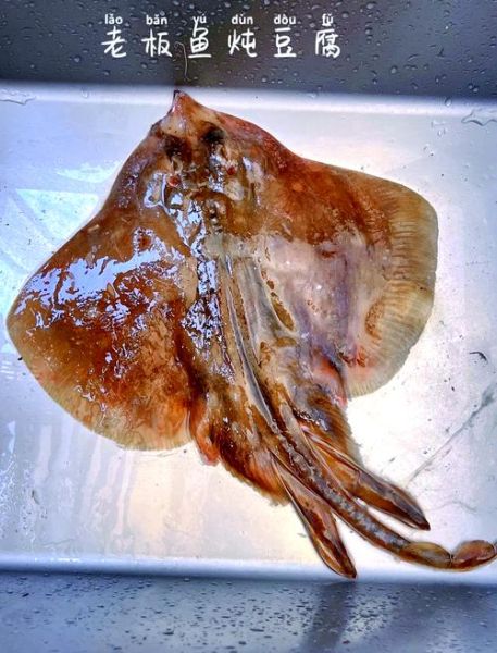 老板鱼怎么处理_老板鱼怎么清洗去腥-第3张图片-山城妙识