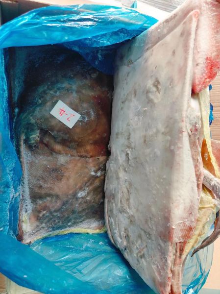 老板鱼怎么处理_老板鱼怎么清洗去腥-第2张图片-山城妙识