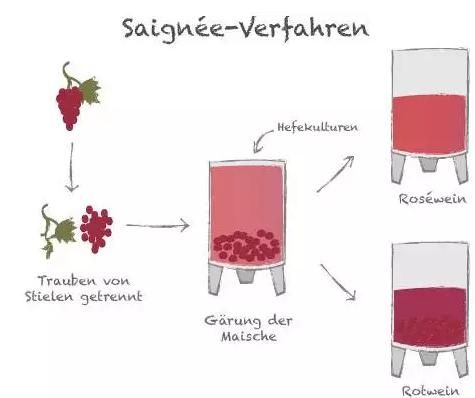 自酿葡萄酒怎么做_葡萄酒发酵全过程-第1张图片-山城妙识