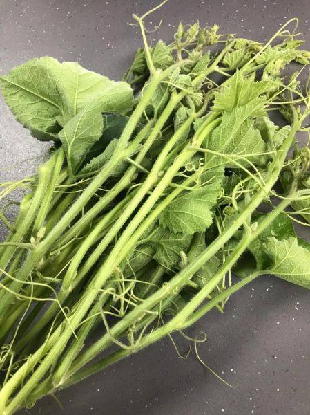 南瓜苗怎么剥_南瓜苗剥皮技巧-第1张图片-山城妙识