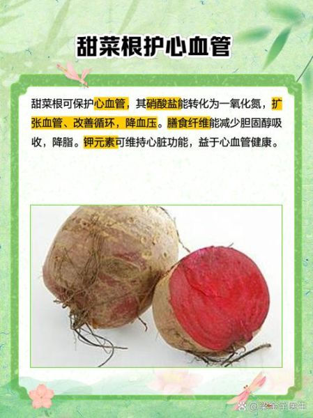 农村说的甜菜是什么菜_甜菜根和糖萝卜的区别-第1张图片-山城妙识